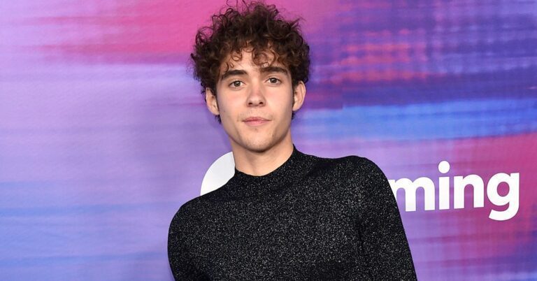 Joshua Bassett Shut Down Heckler Who Shouted Olivia Rodrigo Hate - POPSTAR!