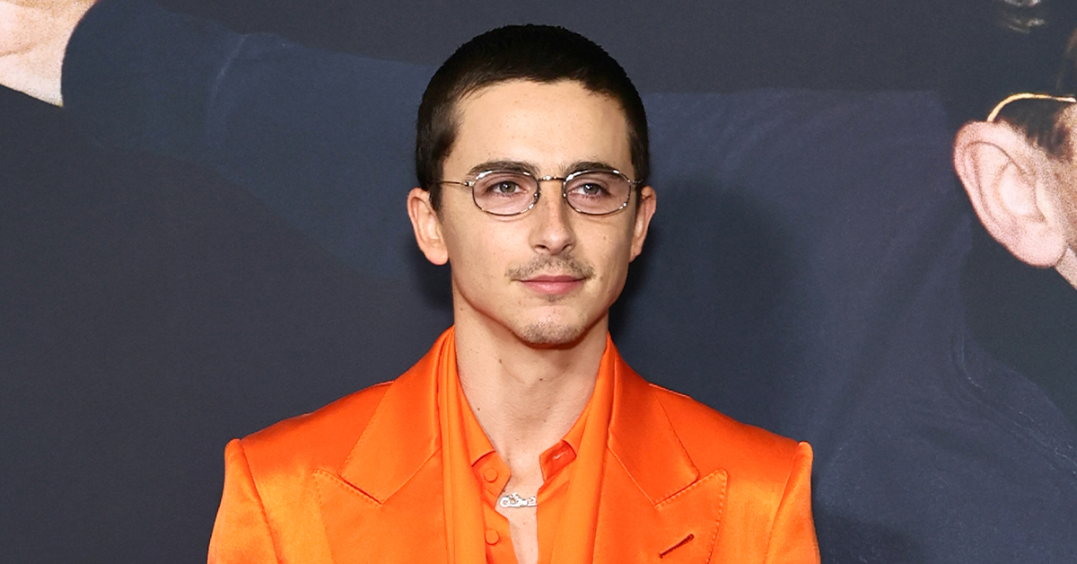 Timothee Chalamet & EsDeeKid Drop New Rap, Seemingly Squash Alter-Ego ...